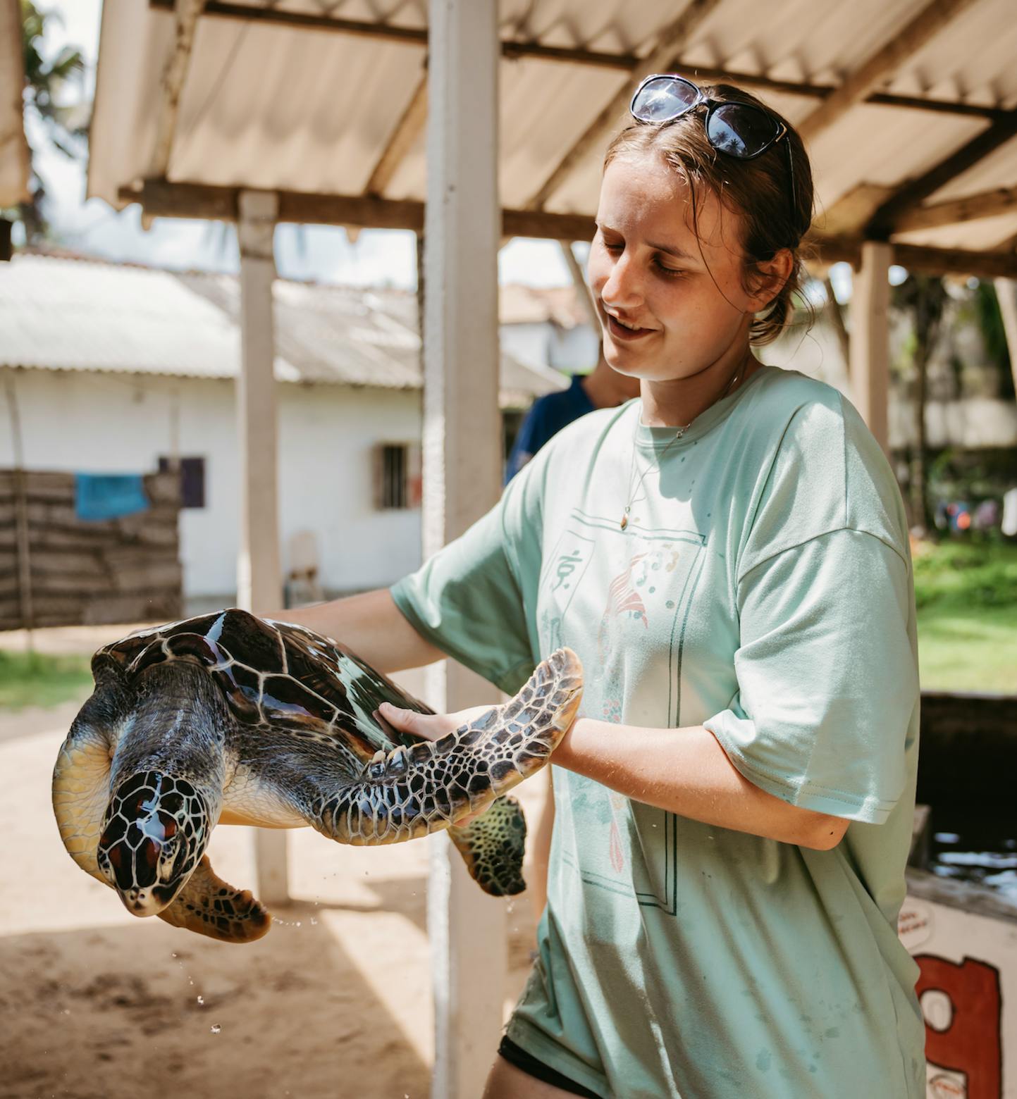 Turtle Conservation Volunteer in Sri Lanka | Volunteer in Sri Lanka 2025