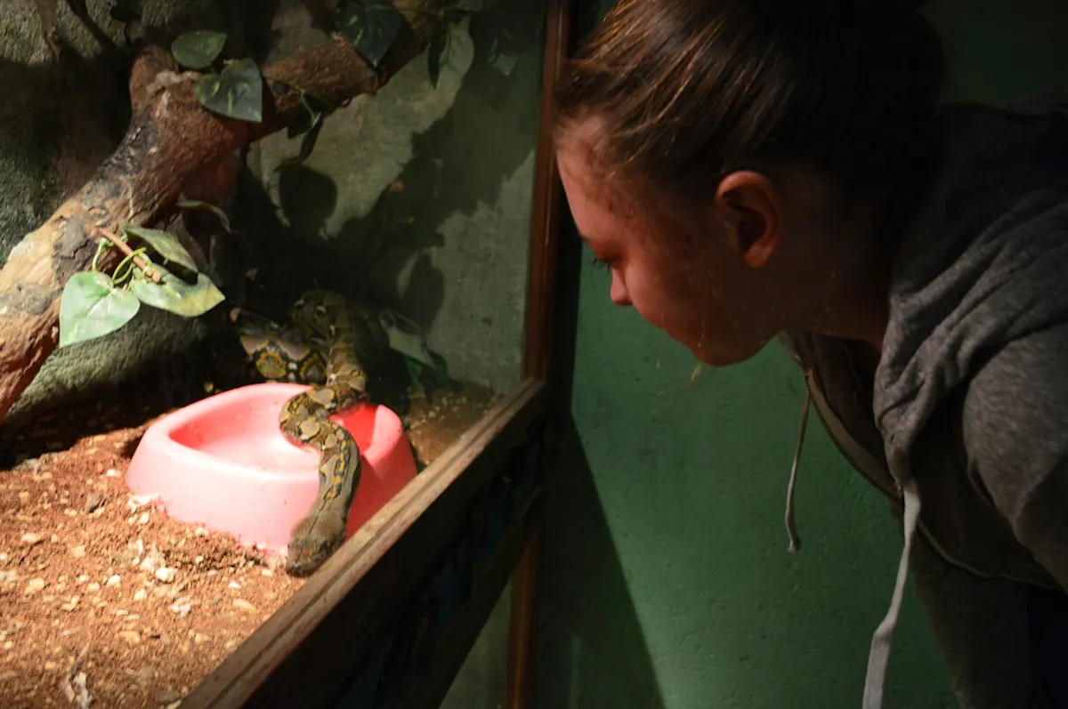 Exotic Animal Rescue Center Helper | Volunteer in Guatemala 2025