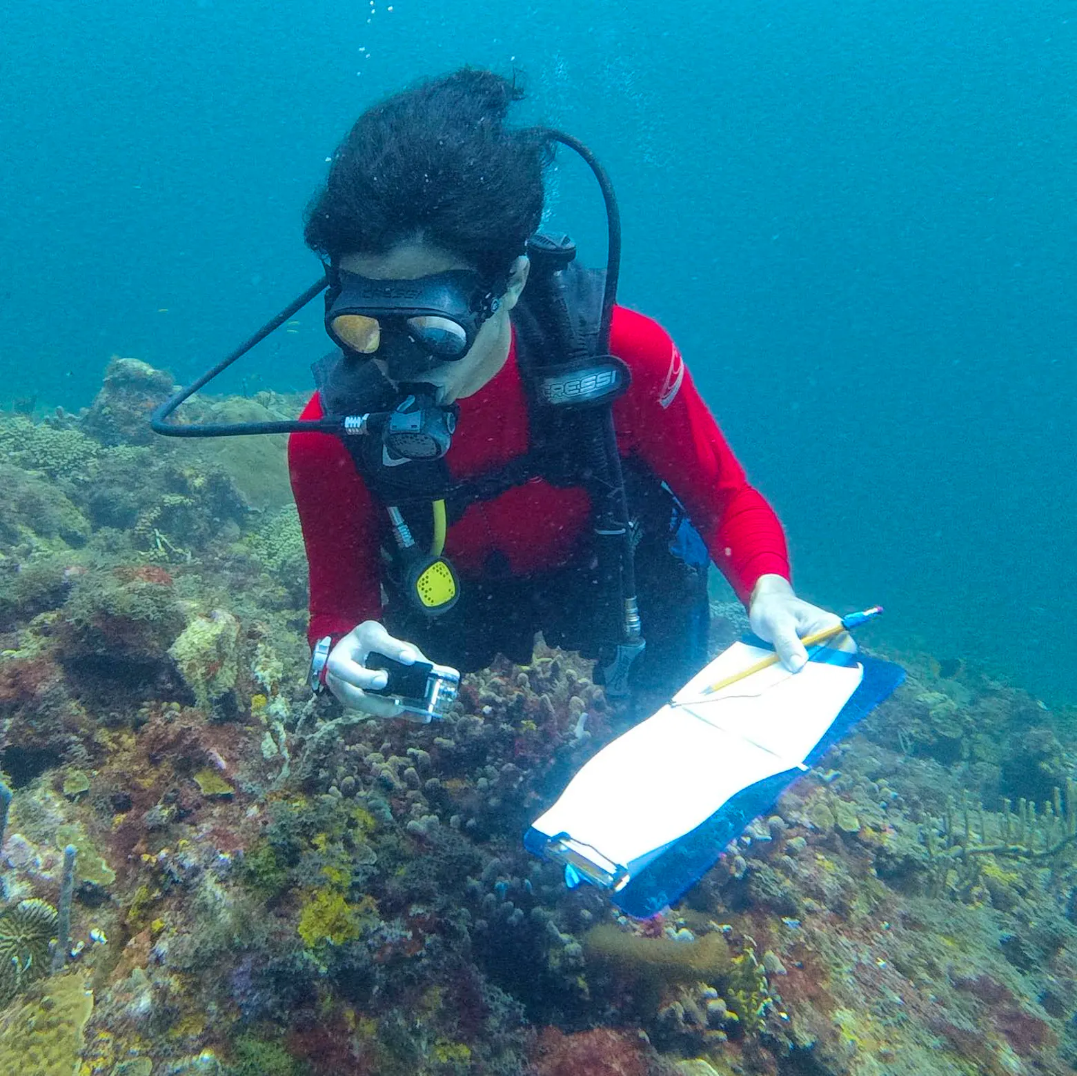 Coral Reef Monitoring Supporter | Volunteer in Grenada 2025