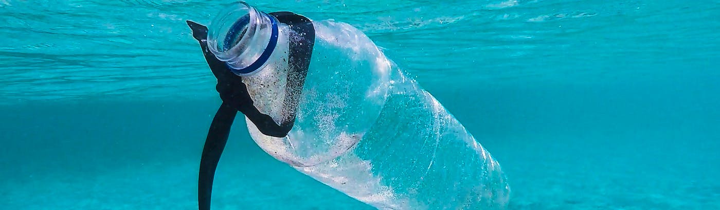 Ocean Cleaning Programs | Top 10 Volunteer Projects 2020 | Volunteer World