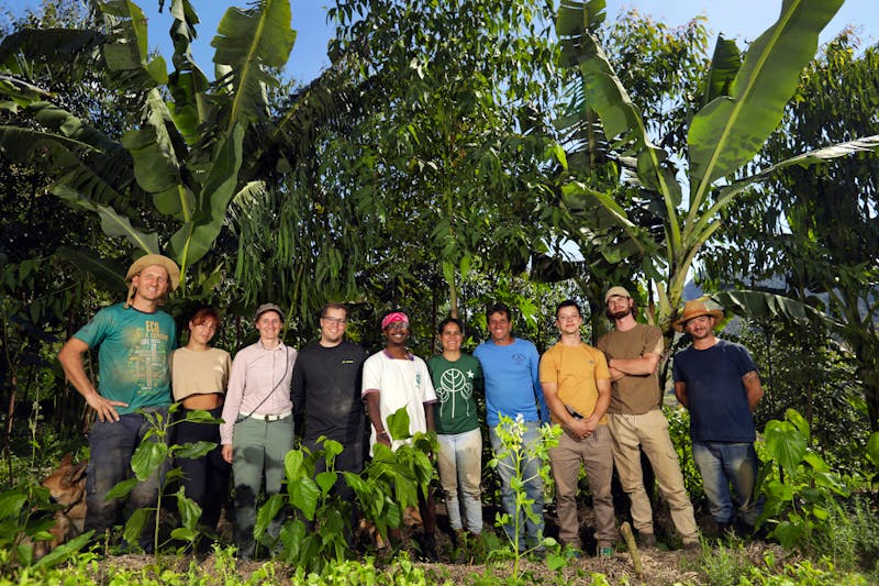 Agroforestry & Sintropic Agriculture Assistant | Volunteer in Brazil 2025
