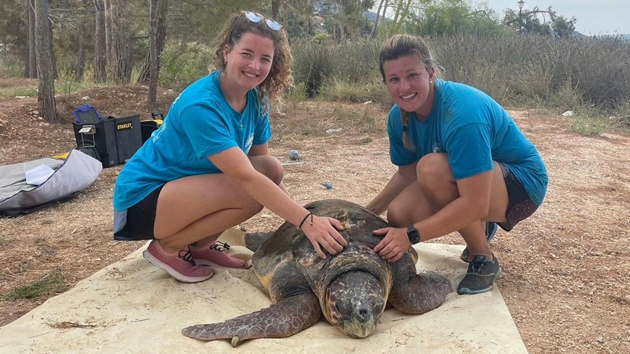 Greece Turtle Conservation Volunteers | Volunteer in Greece 2025