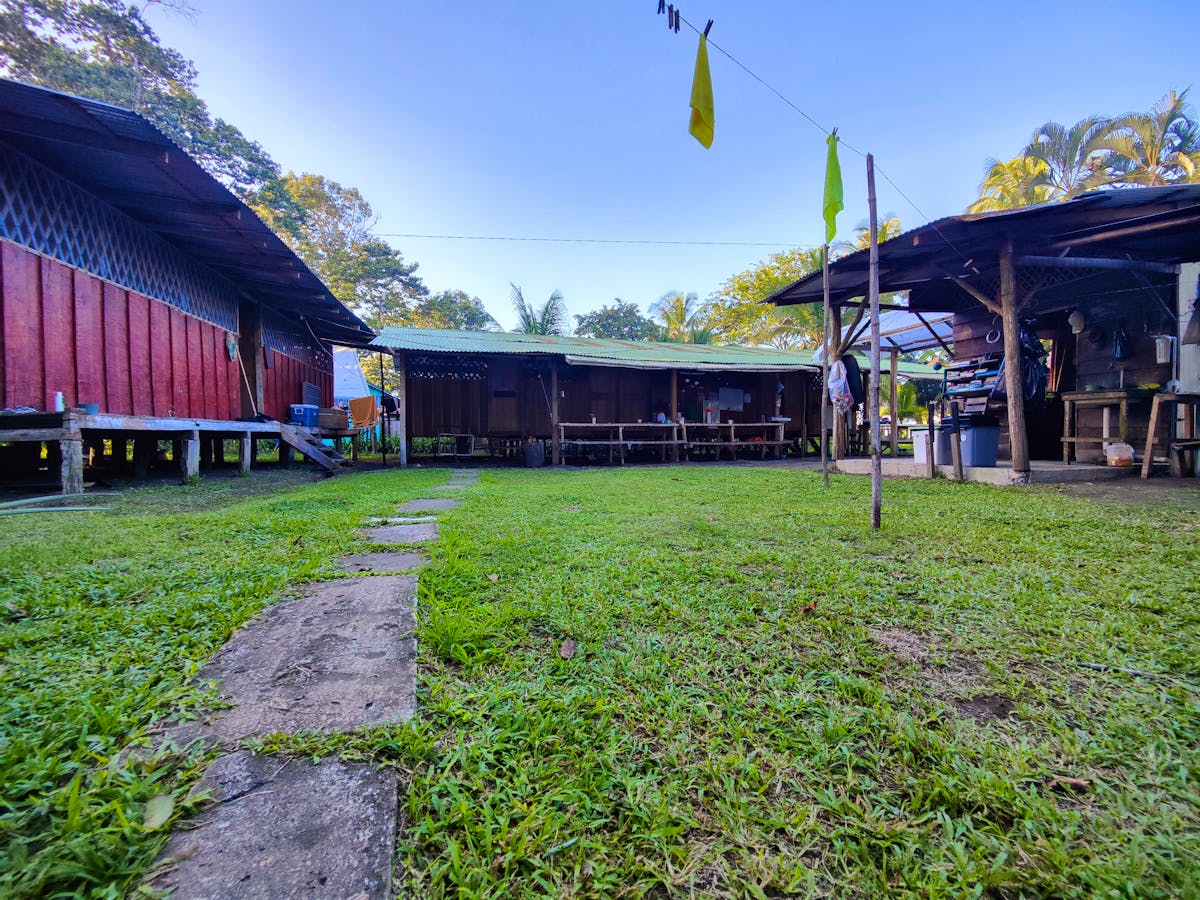 Turtle Conservation Camp Supporter | Volunteer in Costa Rica 2025