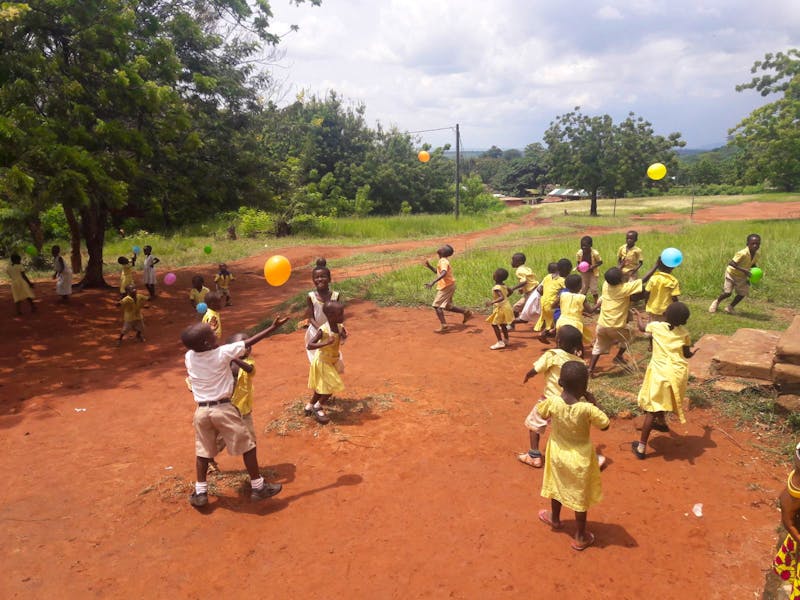 Community Farmer Support | Volunteer in Ghana 2025