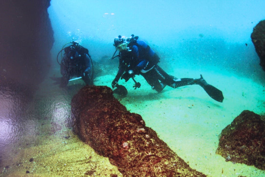 Environmental Scuba Diving | Volunteer in Portugal 2023