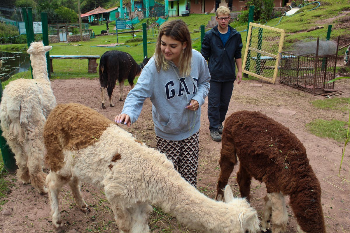 Wildlife Rescue Helper | Volunteer in Peru 2023