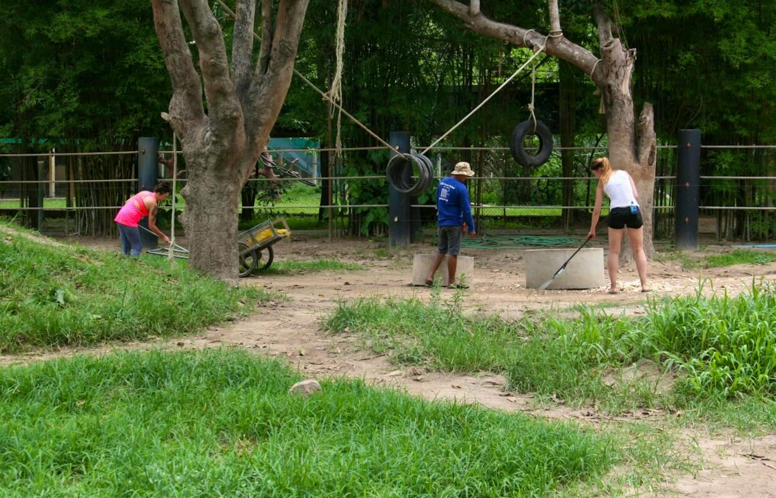 Wildlife Conservation Worker | Volunteer in Thailand 2025