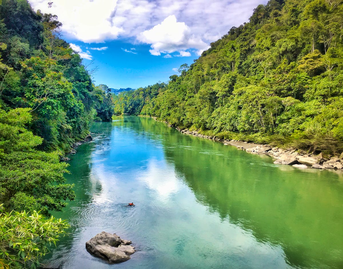 Supporter at Amazon National Park | Volunteer in Peru 2025