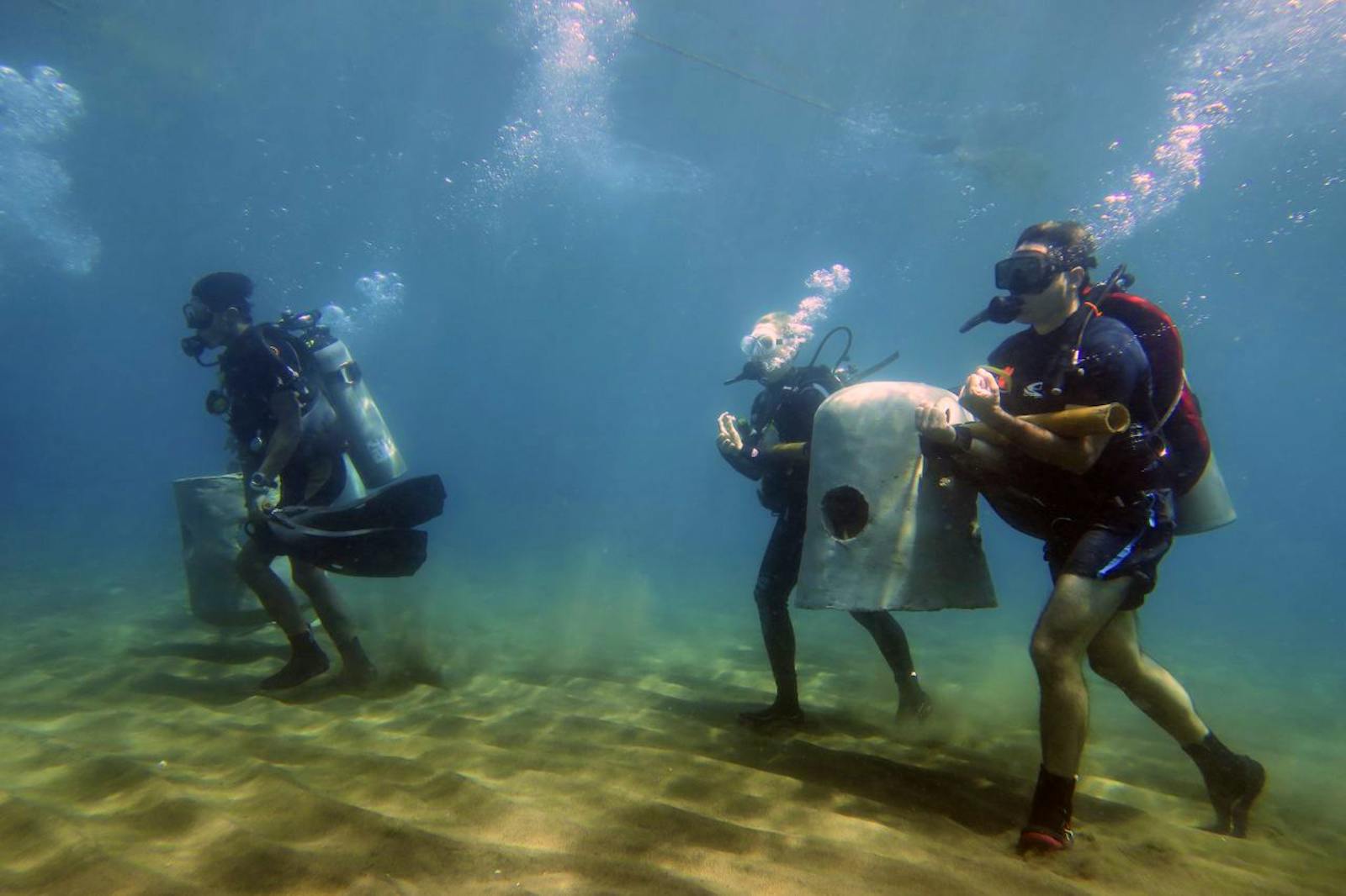 Supporter for Marine Conservation | Volunteer in the Philippines 2025