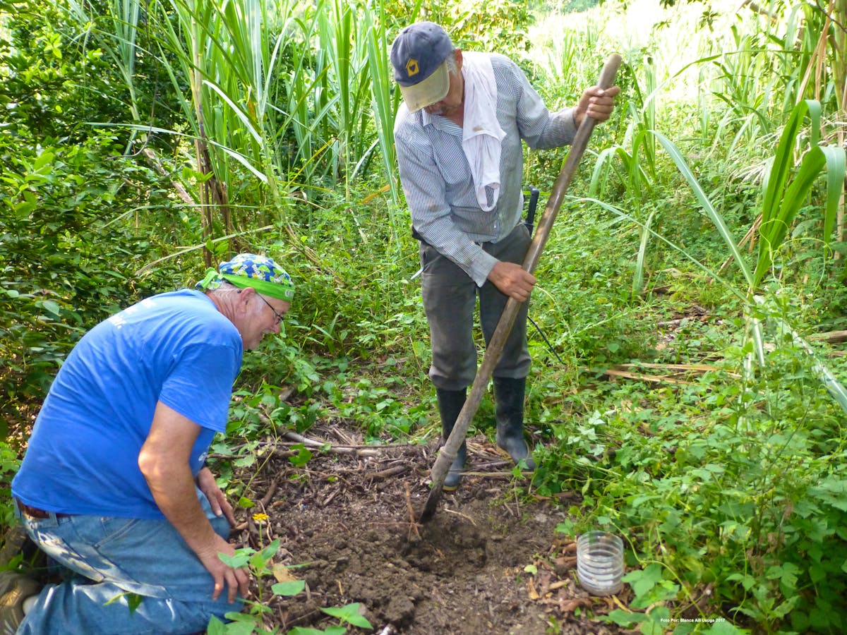 Farming and Beekeeping Support needed | Volunteer in Colombia 2025