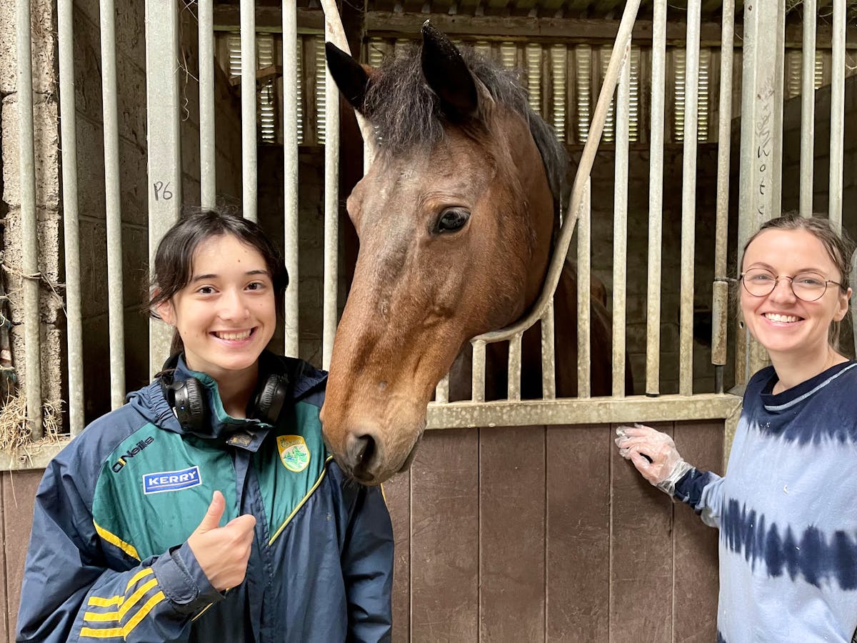 Animal Rescue & Community Development Helper | Volunteer in Ireland 2025