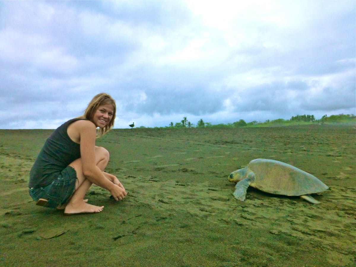 Work in Turtle Conservation | Volunteer in Costa Rica 2025