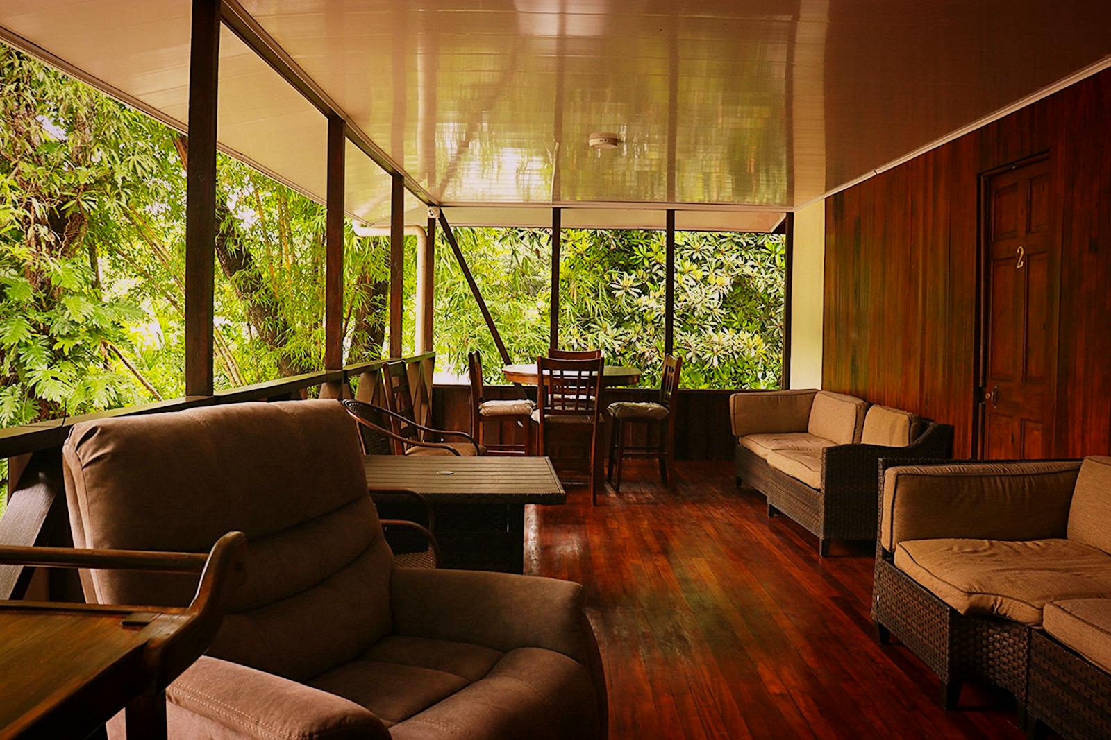 Tambor Bay Olive Ridley Sea Turtle Conservation | Voluntariado en Costa ...