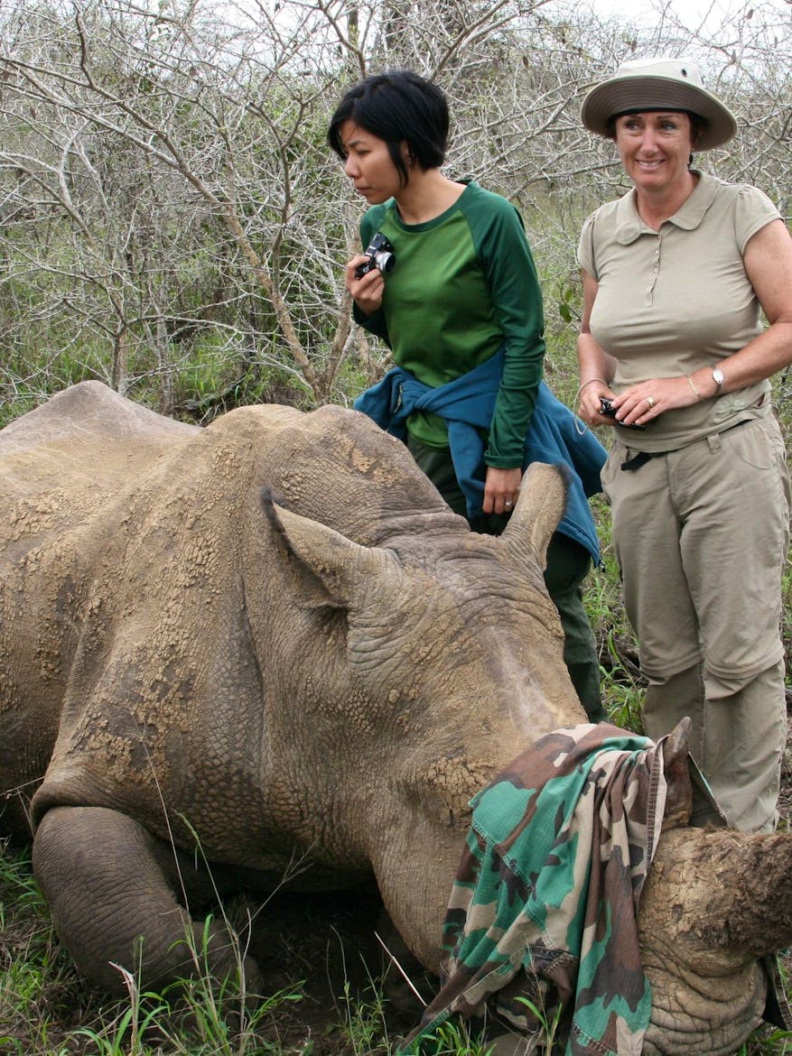 Supporter for Big Five Conservation | Volunteer in South Africa 2025