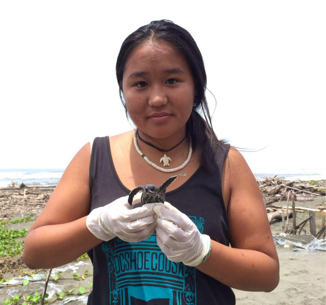 Saving The Turtles Freiwilligenarbeit In Costa Rica 2023 saving-the-turtles-freiwilligenarbeit-in-costa-rica-2023