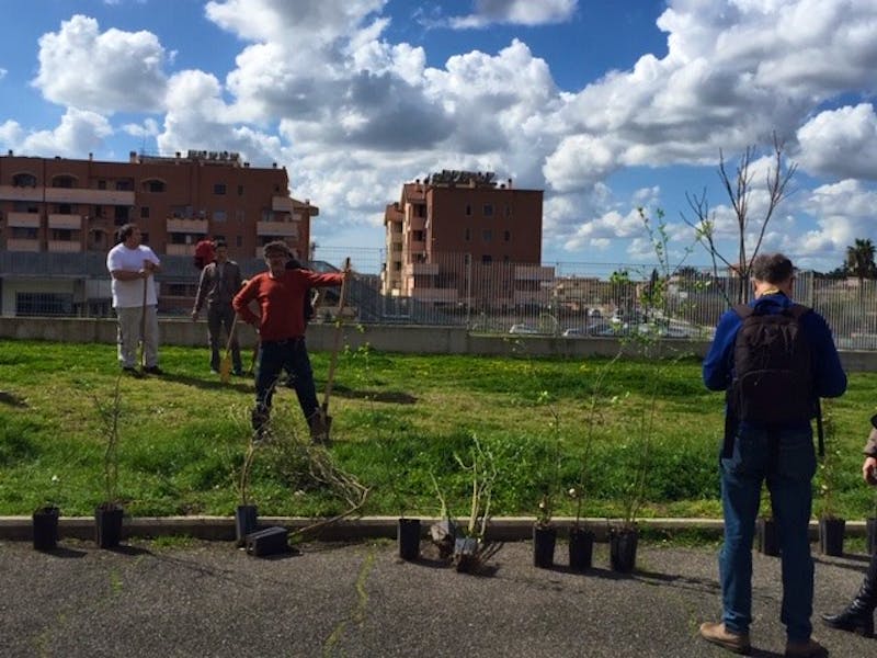 Rome Community Support | Volunteer in Italy 2025