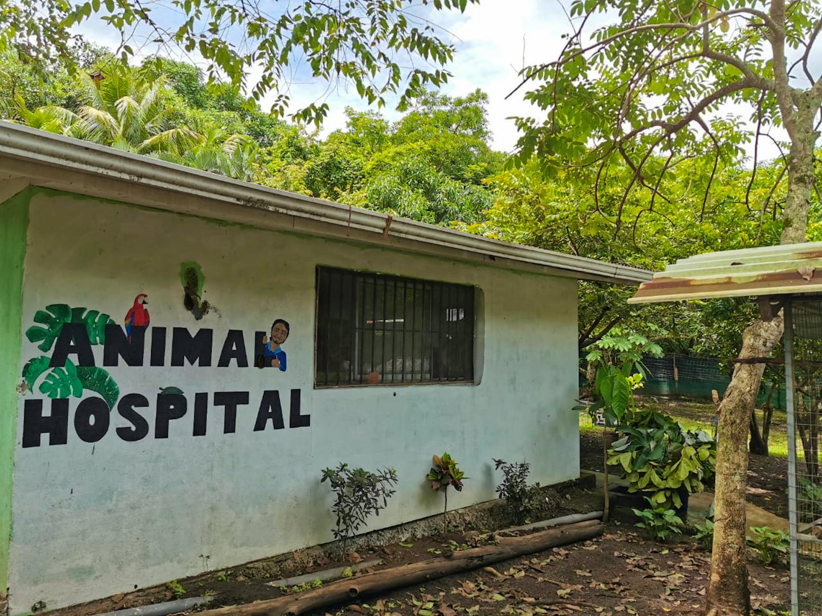 Animal Rescue Center Assistant | Volunteer in Costa Rica 2025