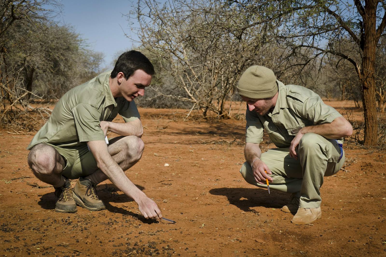 Field Guide Course | Volunteer in South Africa 2025