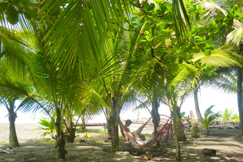 Work in a National Park | Volunteer in Costa Rica 2025