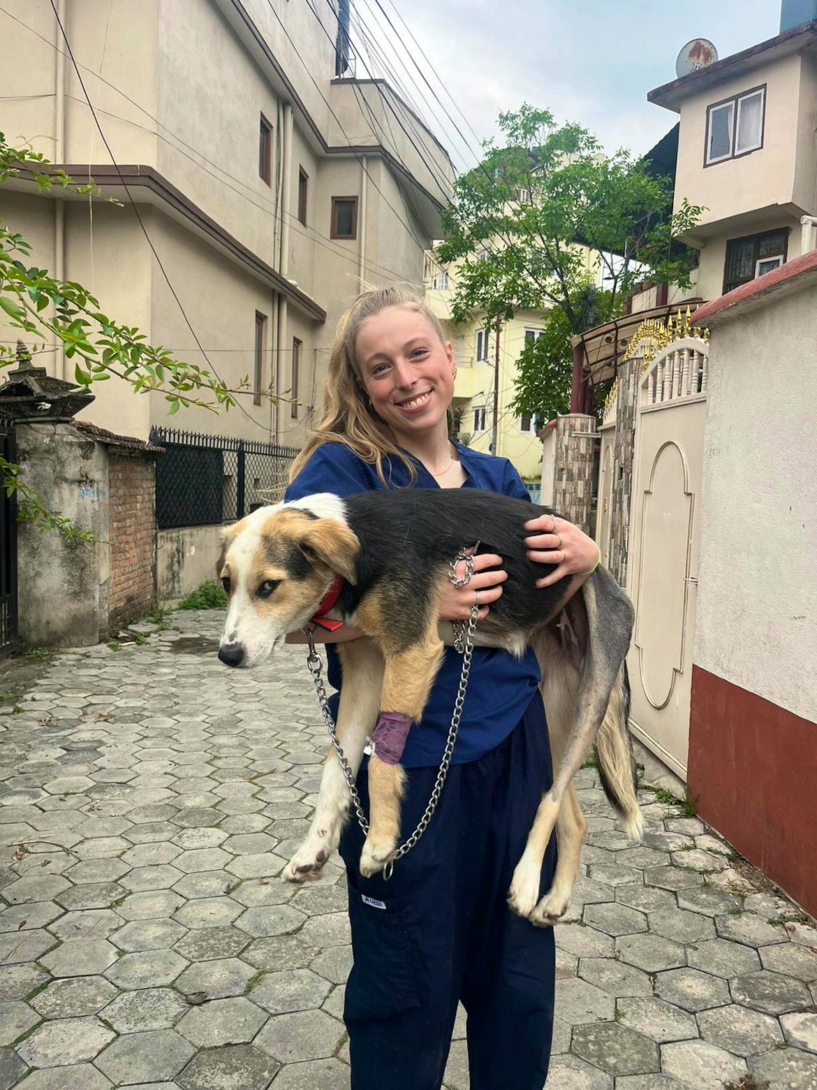 Para-Veterinary Worker | Volunteer in Nepal 2025