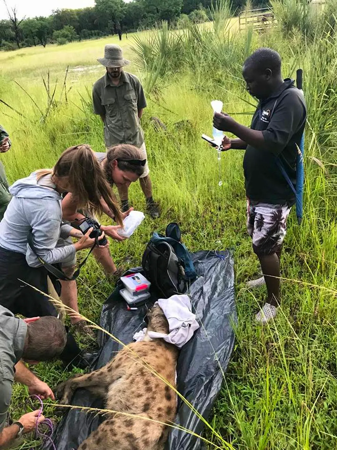 Wildlife Tracking & Field Research | Volunteer in South Africa 2024