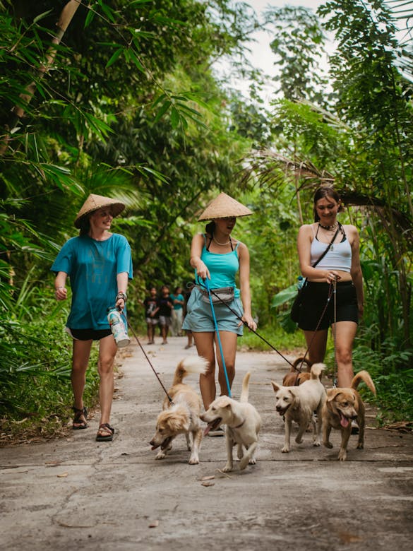 Bali Wildlife Rescue & Environmental Volunteers | Volunteer in ...