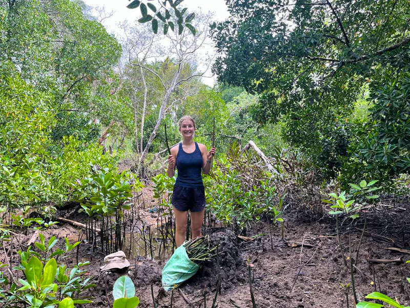 Mangrove Environment Conservation | Volunteer in the Philippines 2025