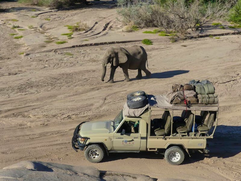 Elephant Conservation Supporter | Volunteer in Namibia 2024