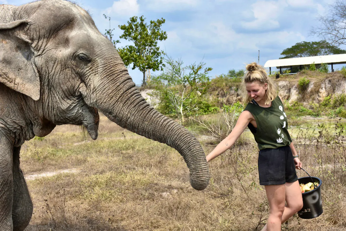 Endangered Elephant Refuge | Volunteer in Thailand 2025