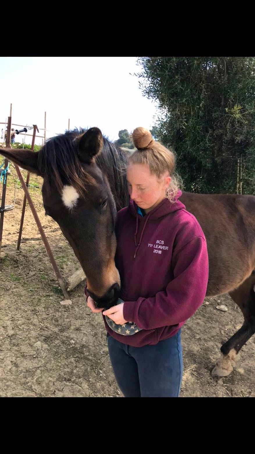 Force-free Equine Sanctuary Assistant | Volunteer in Spain 2025
