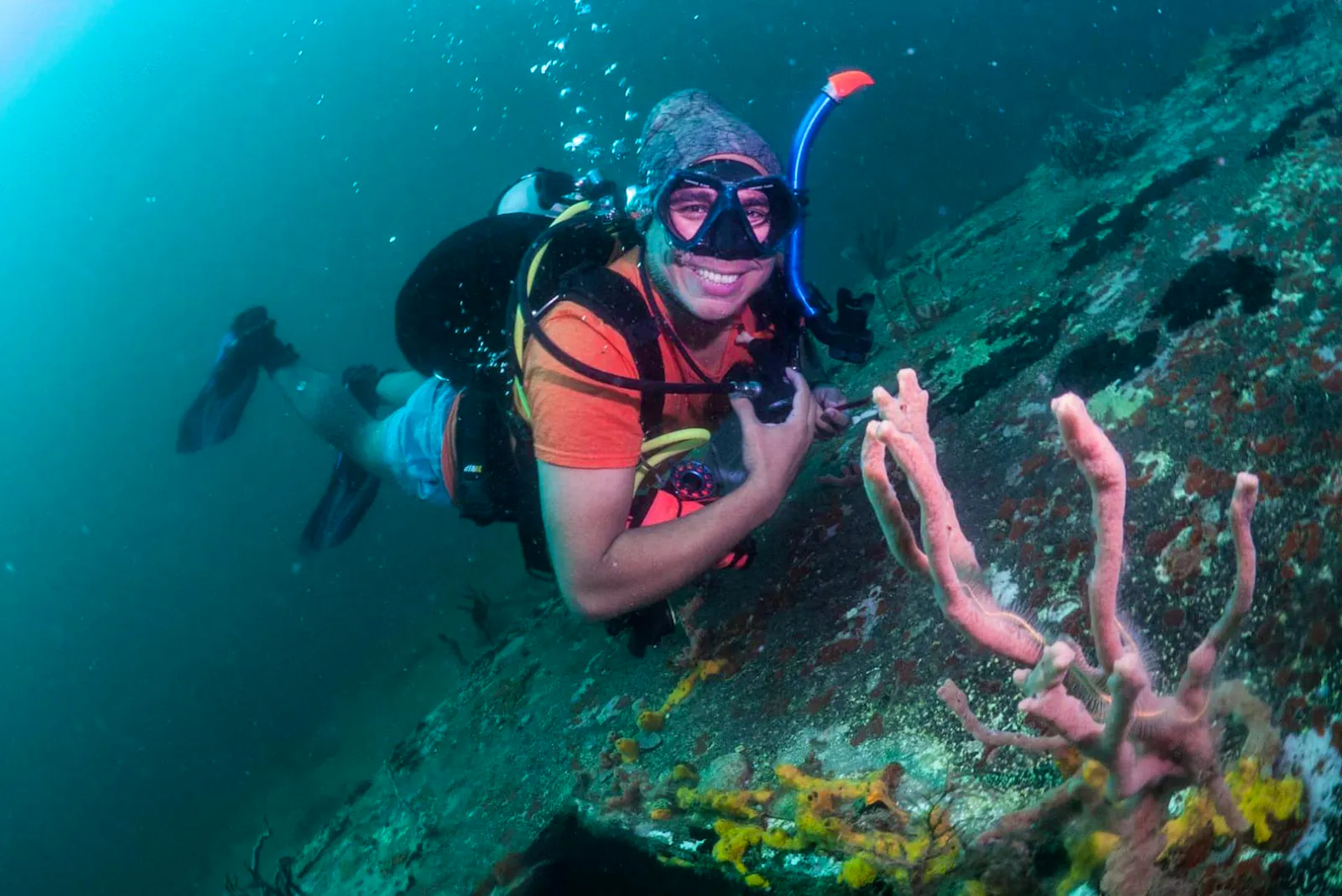Conservation & Coral Monitoring | Volunteer in Panama 2025