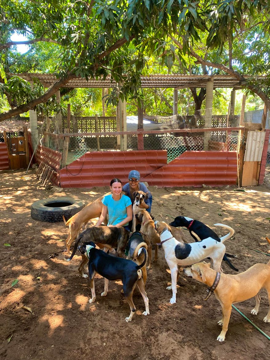 Dog Rescue Center Supporter | Volunteer in Mexico 2025