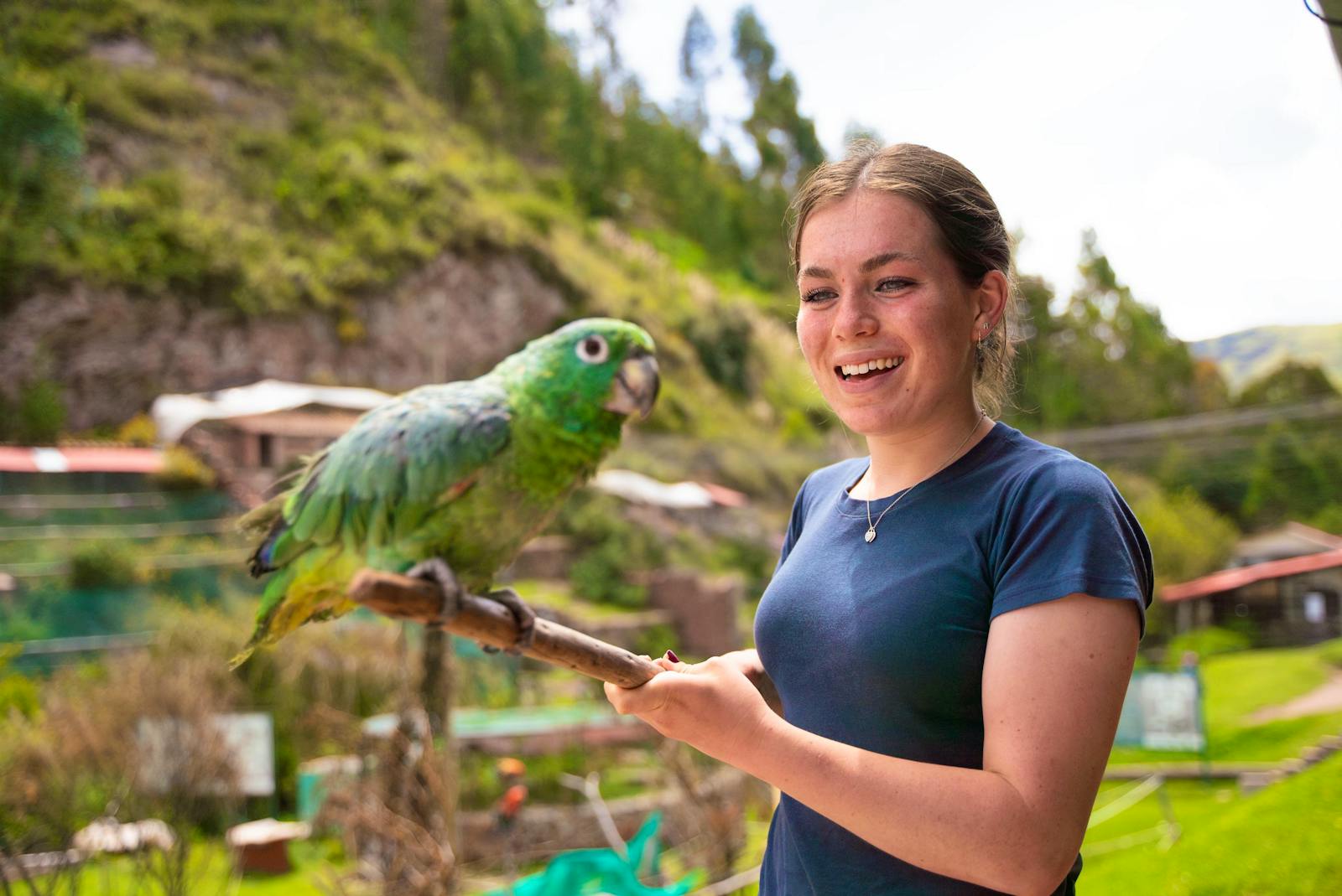 Peru Wildlife Rescue Volunteers | Volunteer in Peru 2025