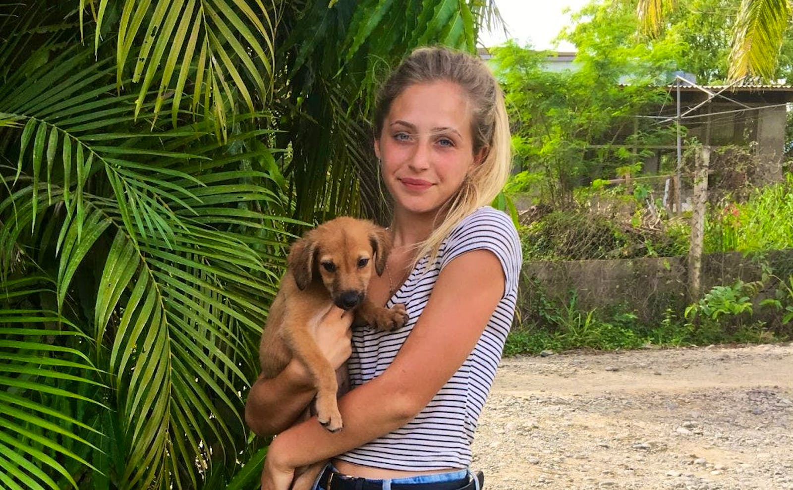 Animal Care and Shelter | Volunteer in Fiji 2025