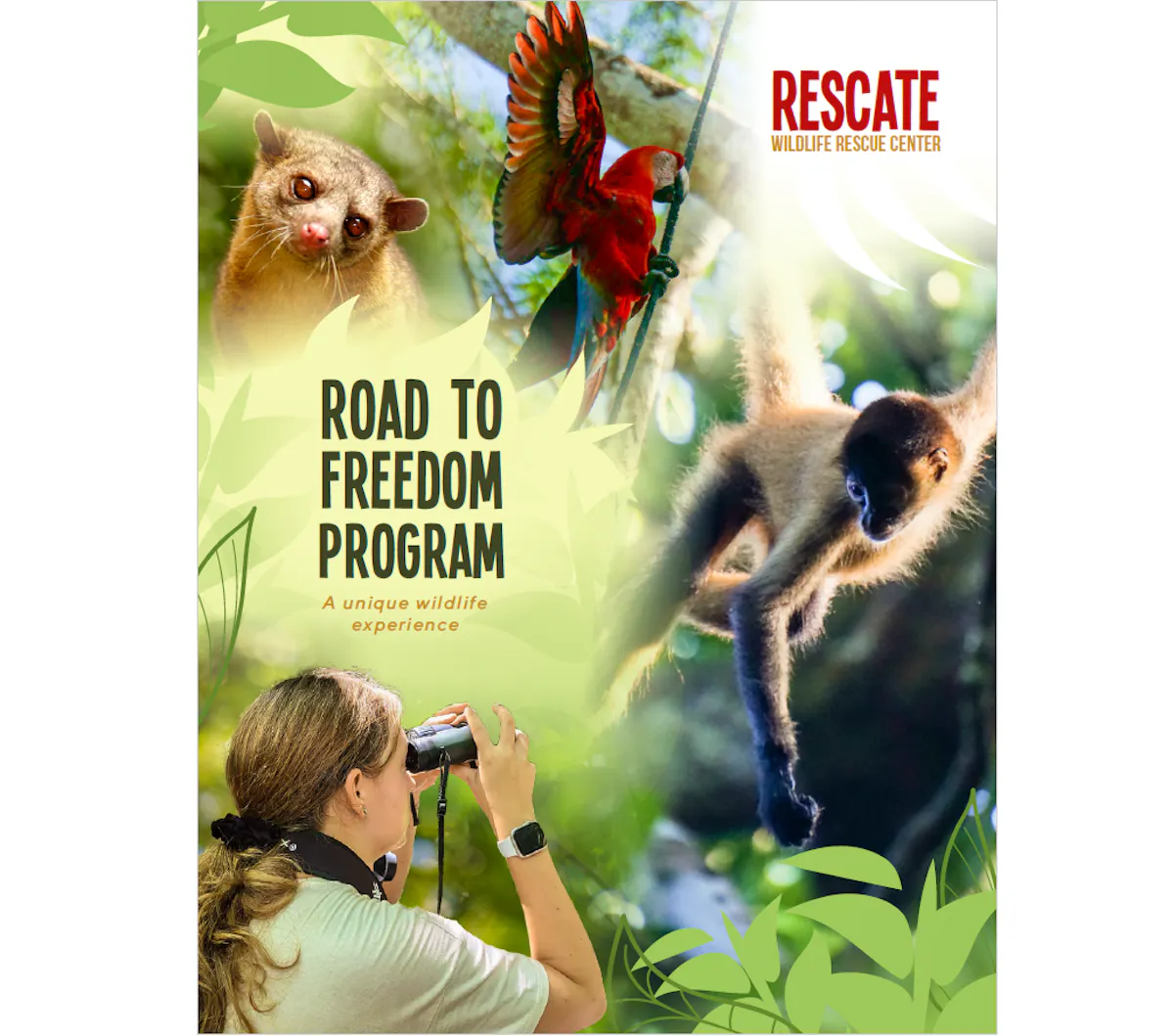 Endangered Animals Road To Freedom Internship | Volunteer in Costa Rica ...
