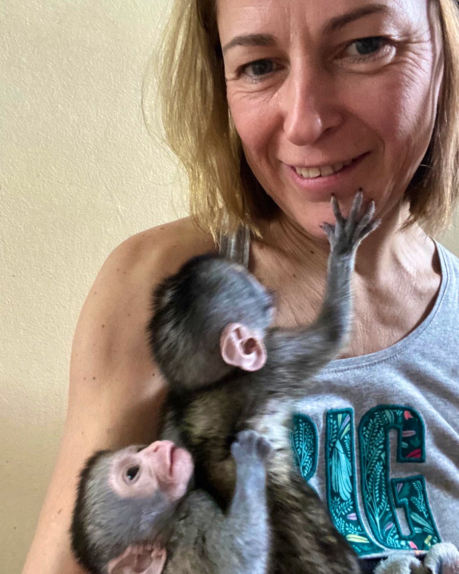 Vervet Monkey Rescue & Rehabilitation | Volunteer in South Africa 2025