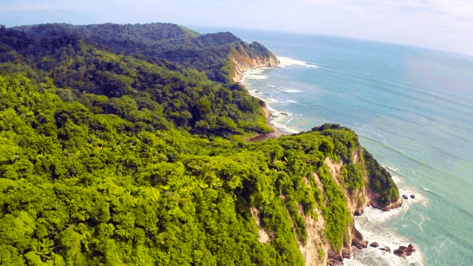 Sea Turtle Protection & Rainforest Preservation | Volunteer in Ecuador 2025