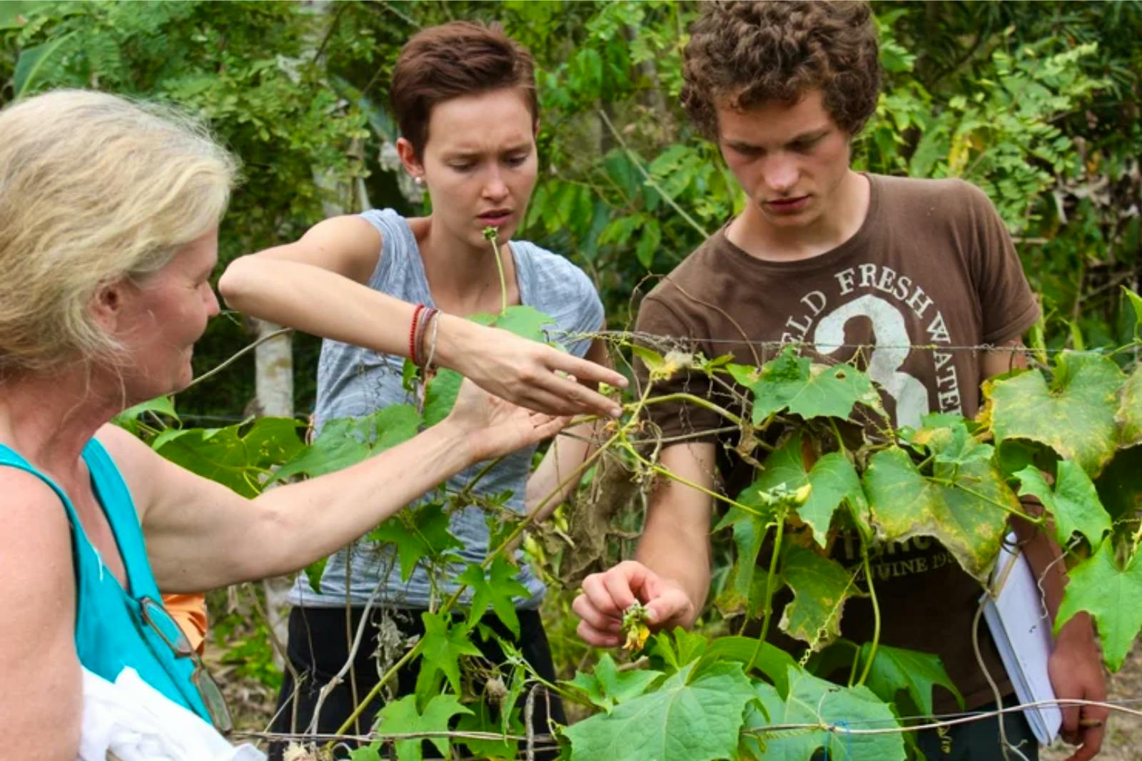 Sustainable Farming & Permaculture | Voluntariado na Equador 2026