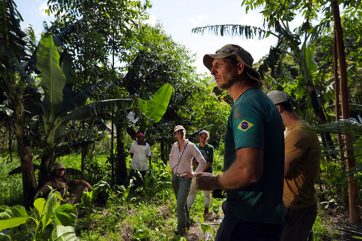 Agroforestry & Sintropic Agriculture Assistant | Volunteer in Brazil 2025