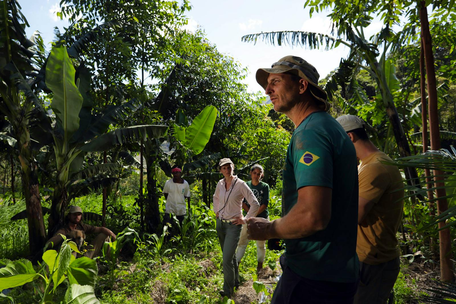 Agroforestry & Sintropic Agriculture Assistant | Volunteer in Brazil 2025