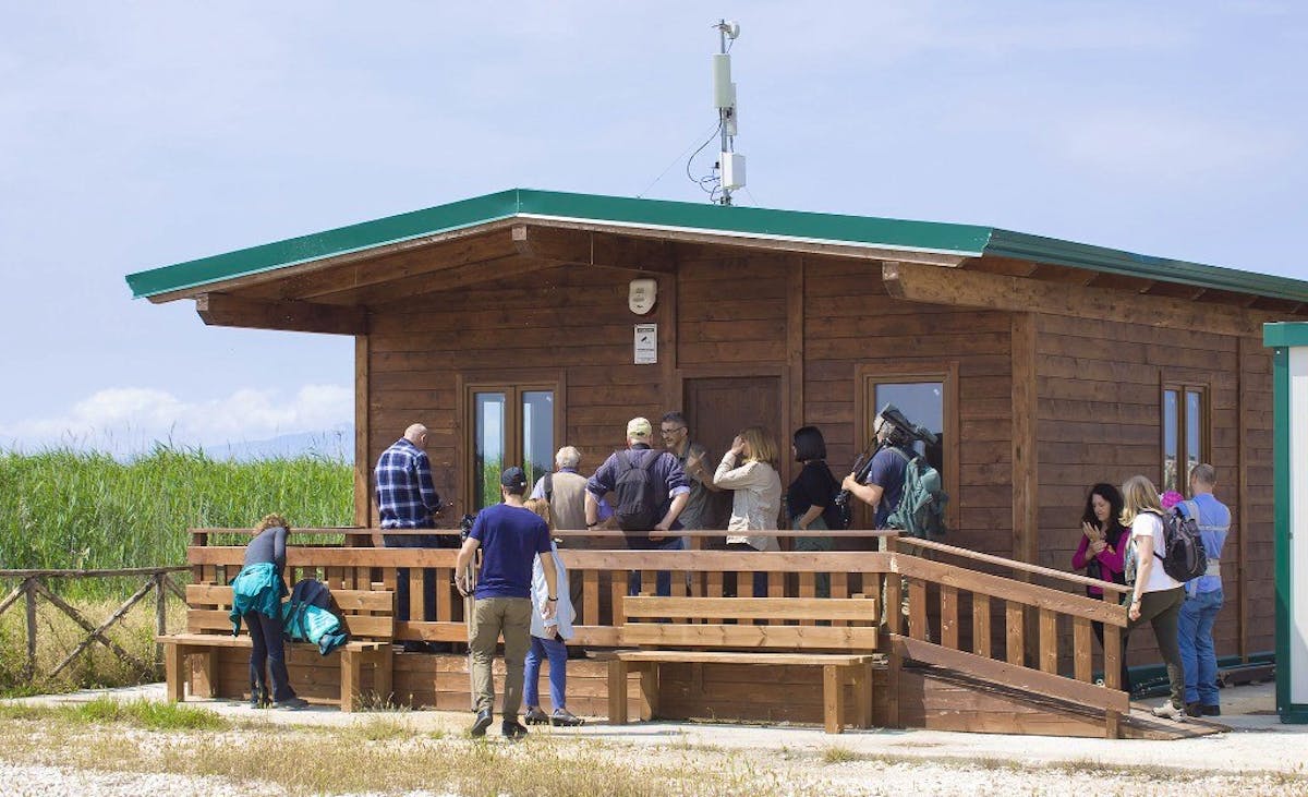 Climate Action Supporter | Voluntariado en Italia 2024