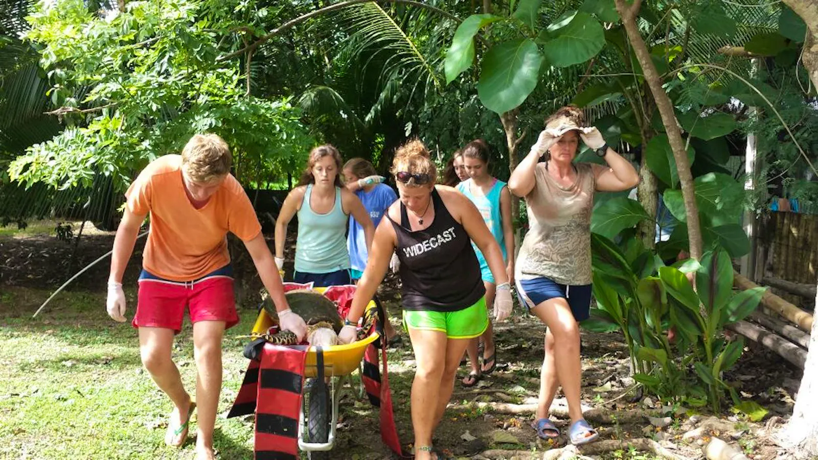 Sea Turtle Guardian | Volunteer in Costa Rica 2024