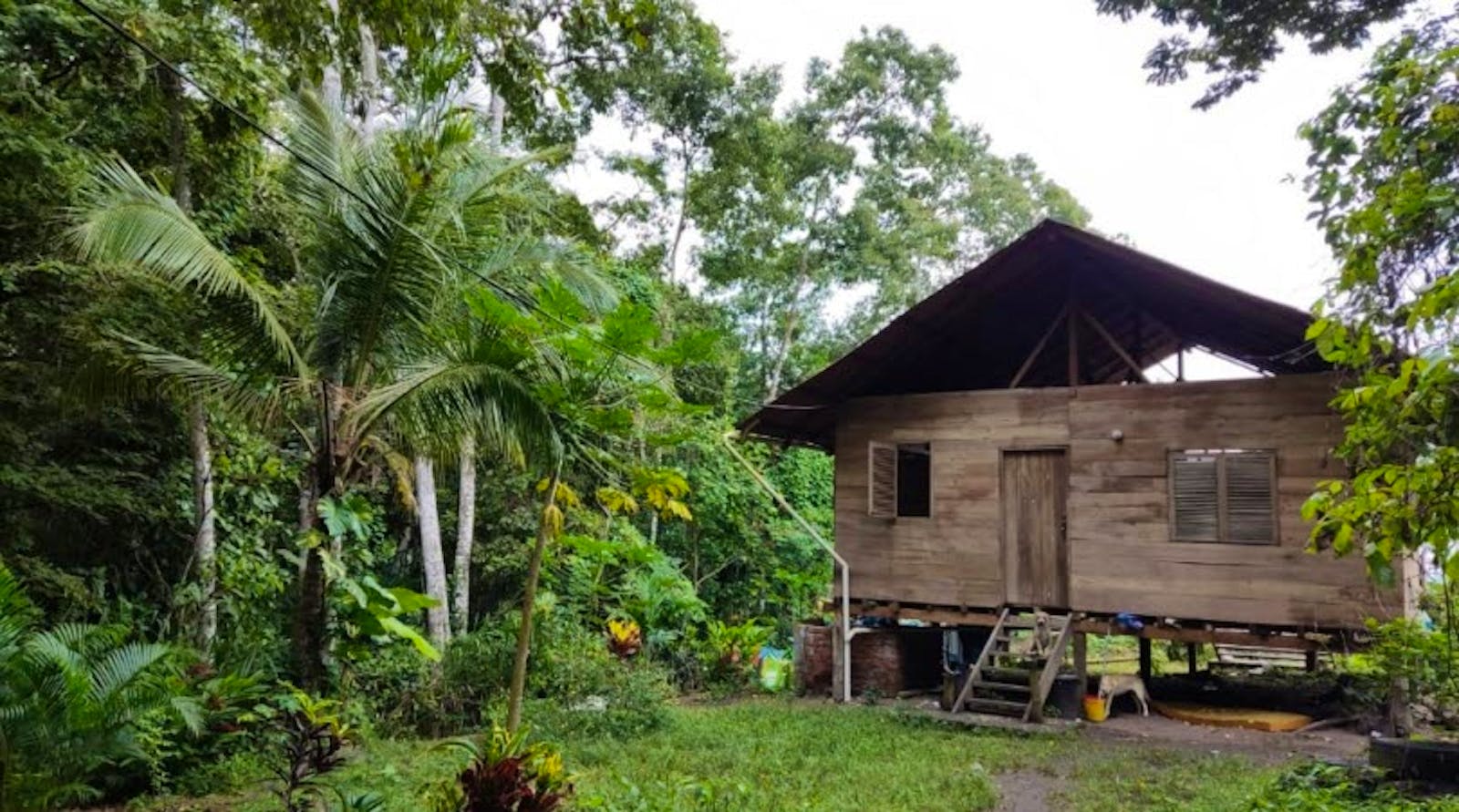 Sea Turtle Protection & Rainforest Preservation | Volunteer in Ecuador 2025