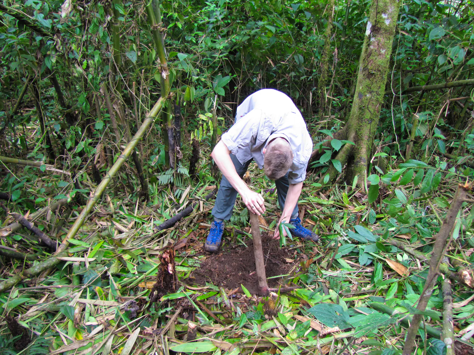 Jungle Conservation | Volunteer in Peru 2025