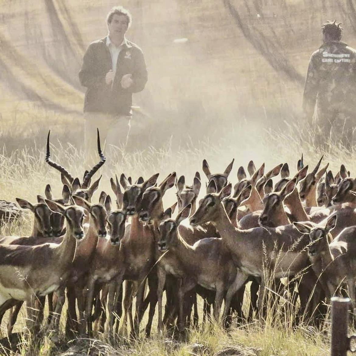 Wildlife Relocation and Veterinary Experience | Volunteer in South ...