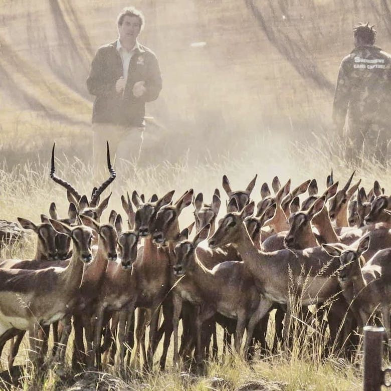 Wildlife Relocation and Veterinary Experience | Volunteer in South ...