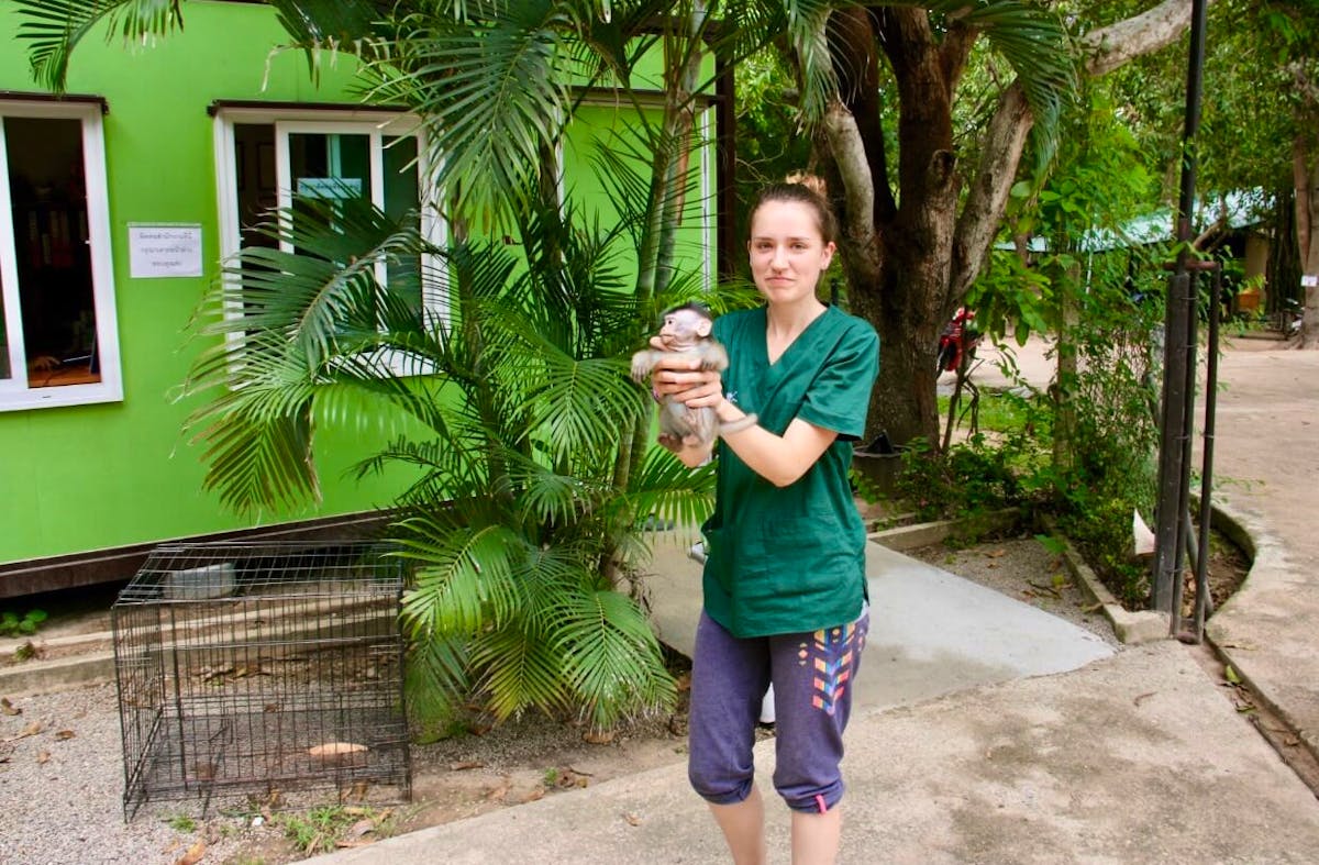 Wildlife Conservation Worker | Volunteer in Thailand 2025