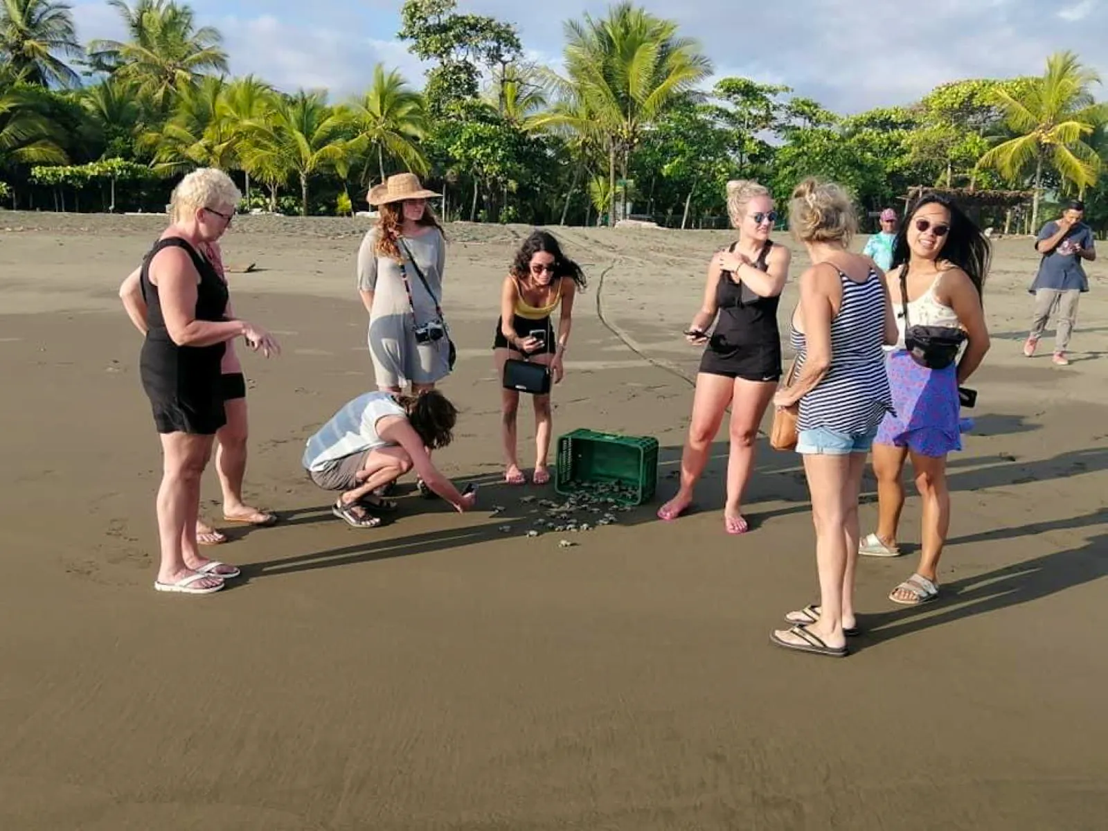 Catch waves & Save Sea Turtles | Voluntariado en Costa Rica 2025