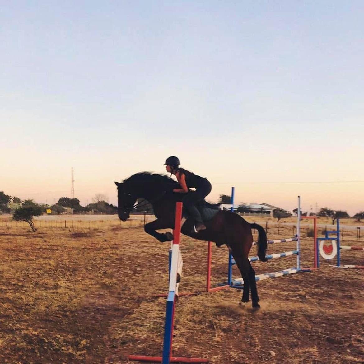 Horse and Farm Support | Volunteer in Namibia 2025