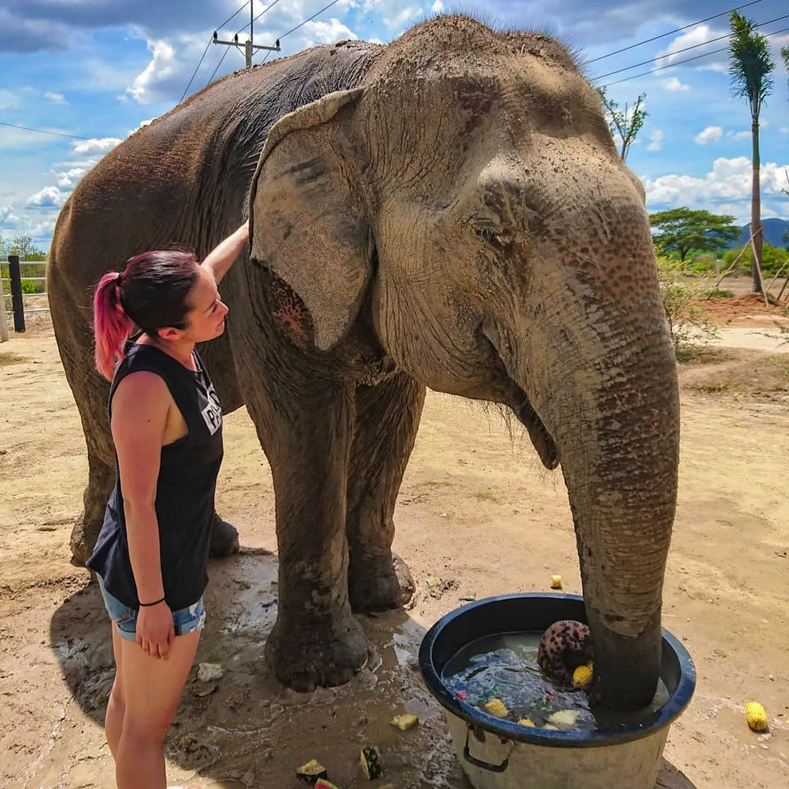 Thailand Elephant Volunteers | Volunteer in Thailand 2025